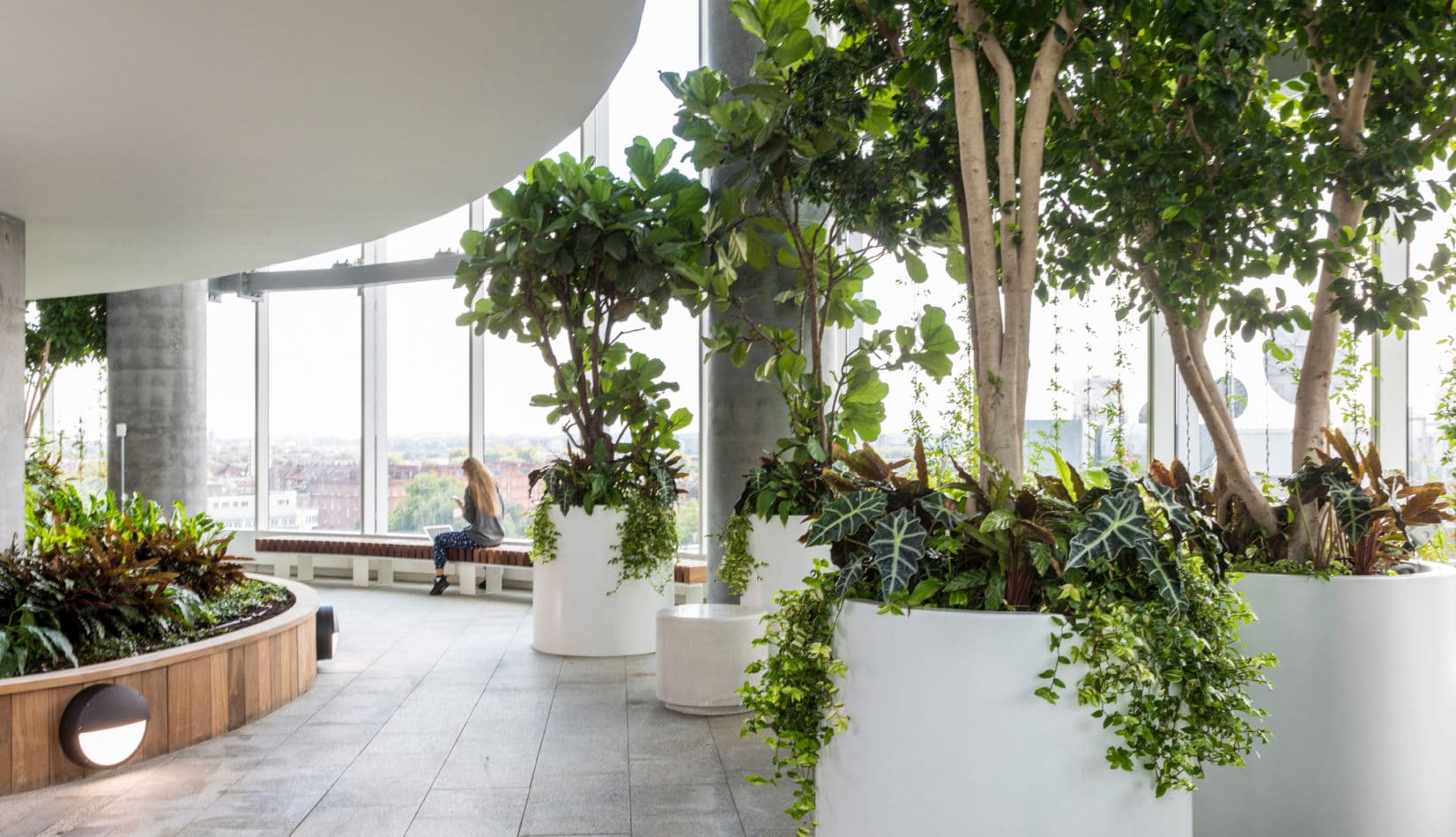 The Rise of the Sky Garden | The LX Collection